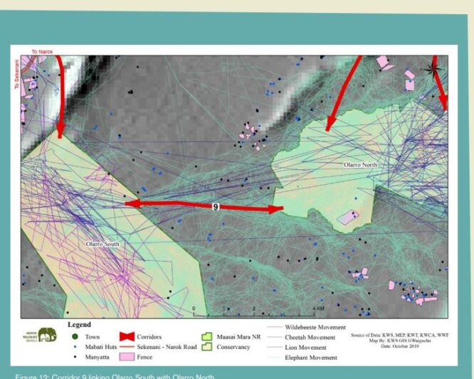 Wildlife Corridors - Masai Mara National Reserve